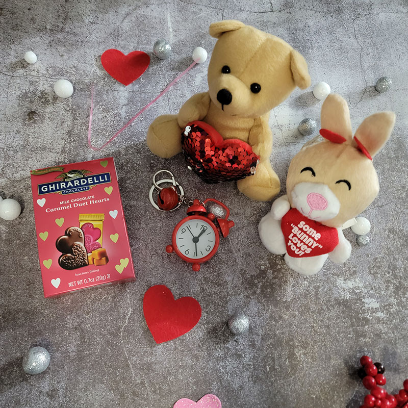 Send Plush Teddy N Bunny with Ferrero Rocher Valentine Gift Combo ...