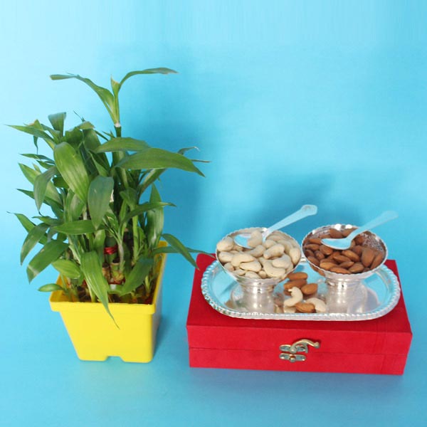 Send Lucky Bamboo and Nuts Hamper Online - DW20-95629 | Giftalove